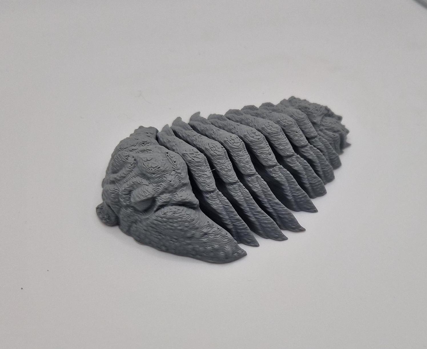Trilobite Fossil Articulated Model Replica Arthropod Cambrian ...