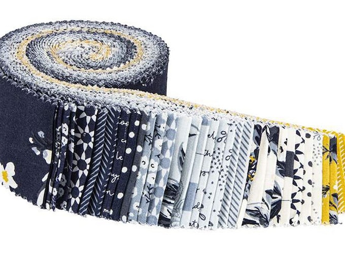 GINGHAM FOUNDRY Rolie Polie Jelly Roll 40 Pcs My Mind's Eye Riley Blake ...