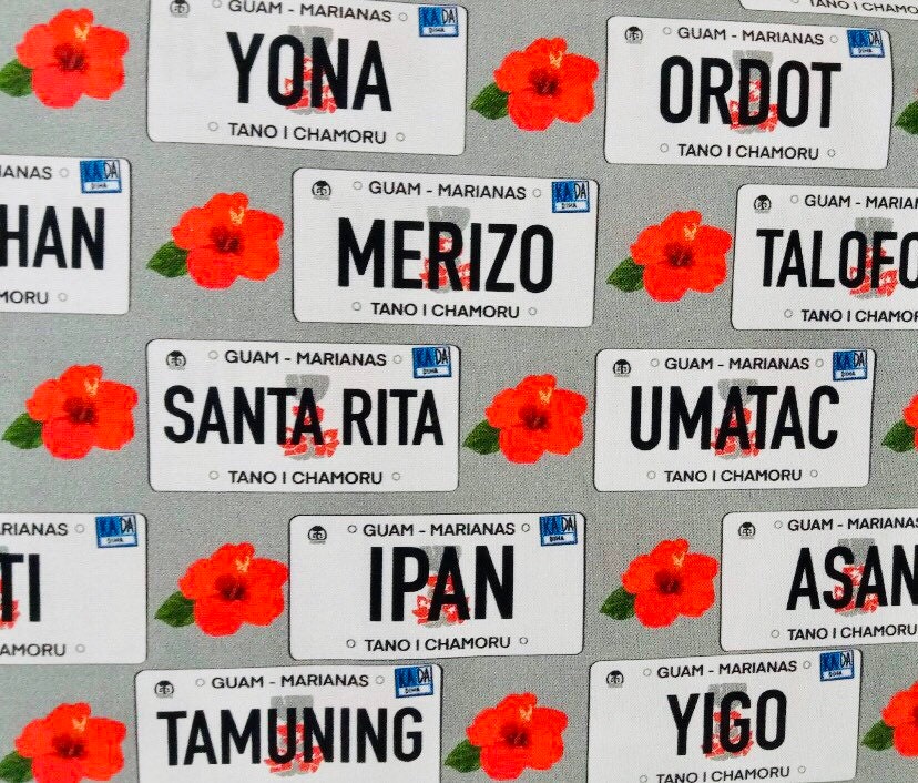 Guam Villages License Plate Pattern Box/pouch Bag - Etsy