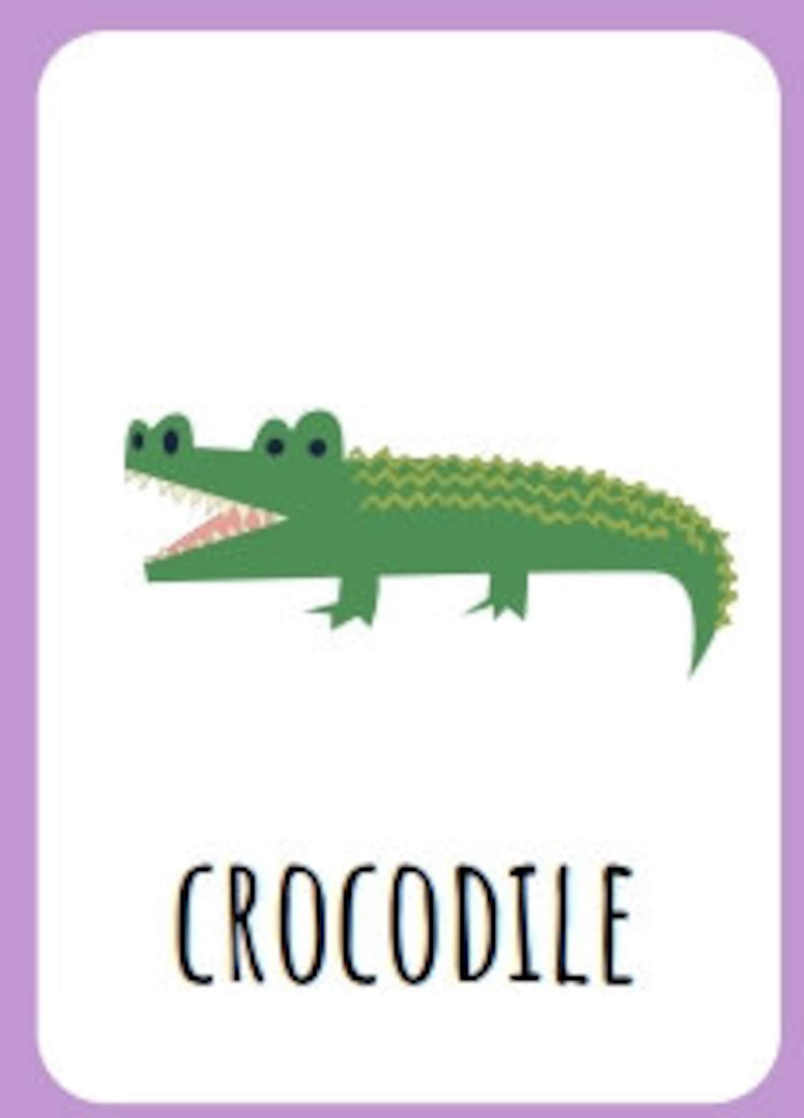 Animal Flashcards Printable Flashcards Preschool & Toddler Flashcards ...