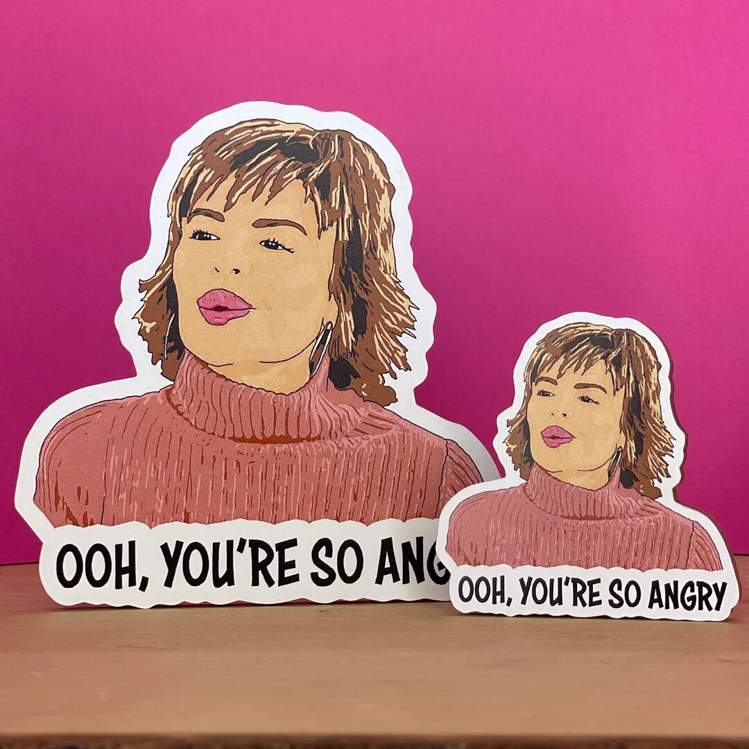 MAGNET Ohh, You're so Angry Magnet - Lisa Rinna to Denise Richards ...