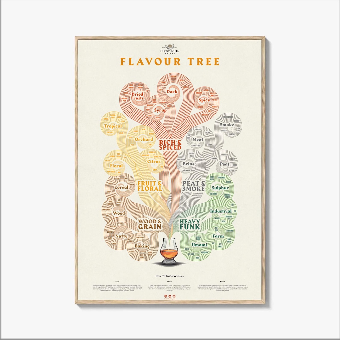 Flavour Tree - Whisky Tasting Rolled Poster | Light Edition - Etsy