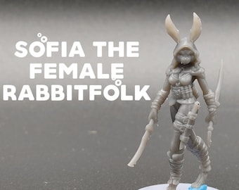 Female Miniature - Etsy