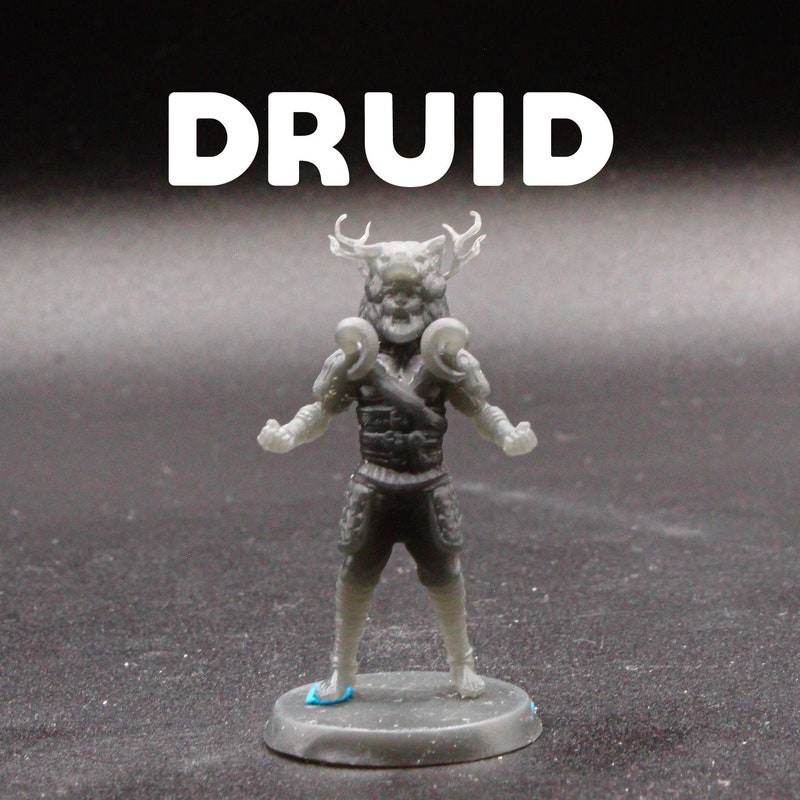 Druid Barbarian Miniatures - Etsy
