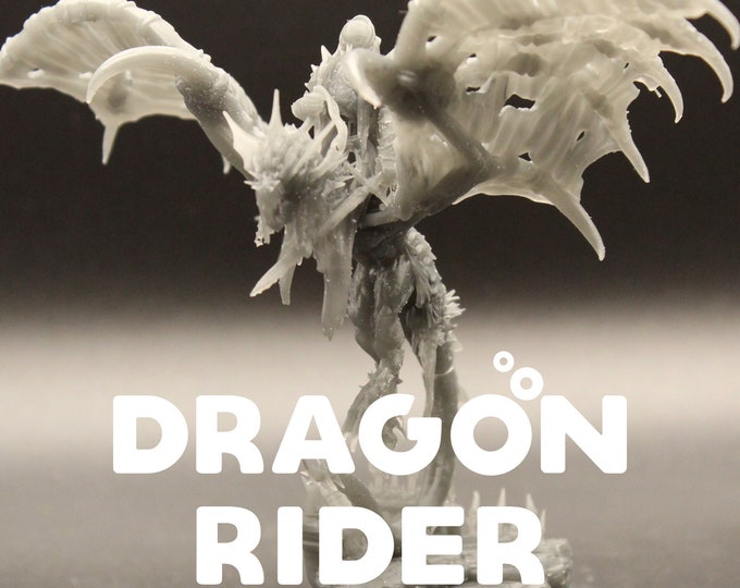 Dragon Rider and Dragon Familiar Perfect for Dnd, Pathfinder, 5E and ...