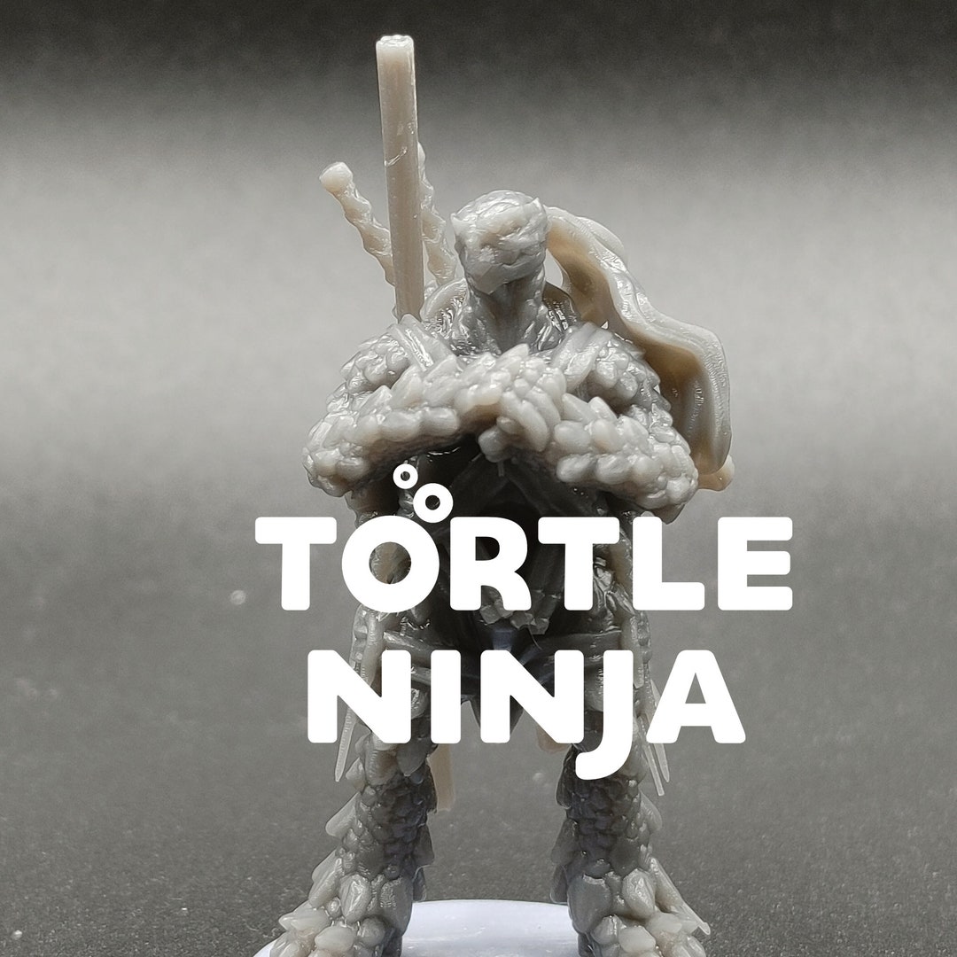 Tortle Ninja - Tortle Rogue - Printed Obsession - D&D Dungeons and ...