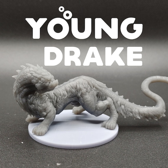 Young Drake Printmymini World of Dragons D&D Dungeons - Etsy