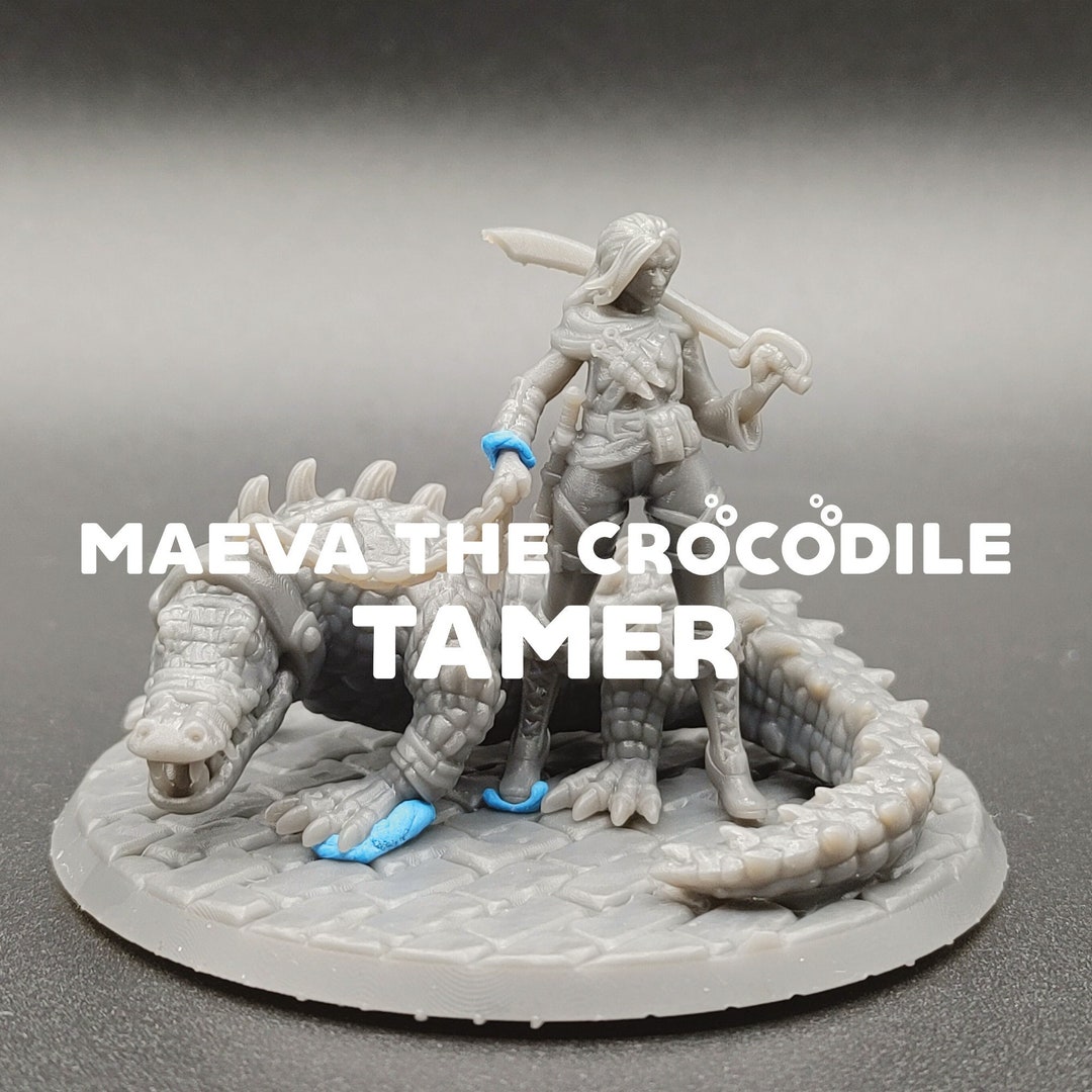 Maeva the Crocodile Tamer - Rogue - Galaad Miniatures - D&D Dungeons ...