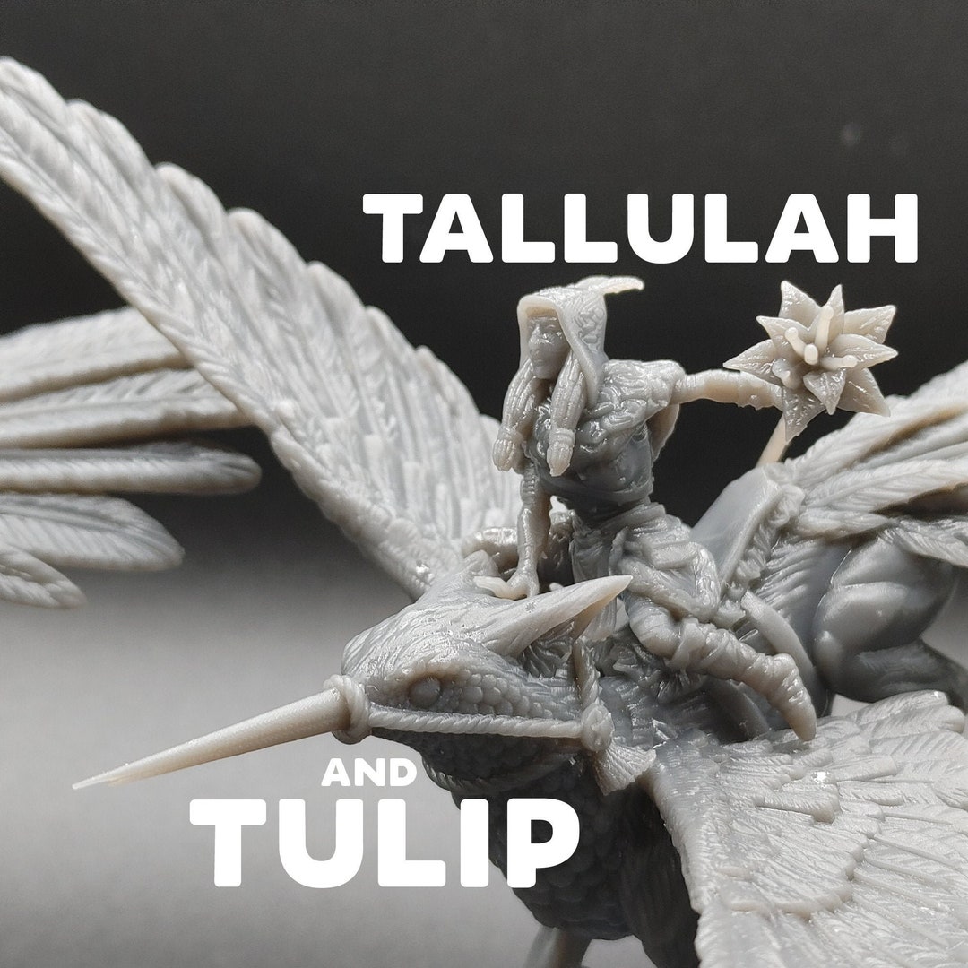 Hummingbird Griffin and Druid Rider - Dragon Trapper's Lodge - D&D ...