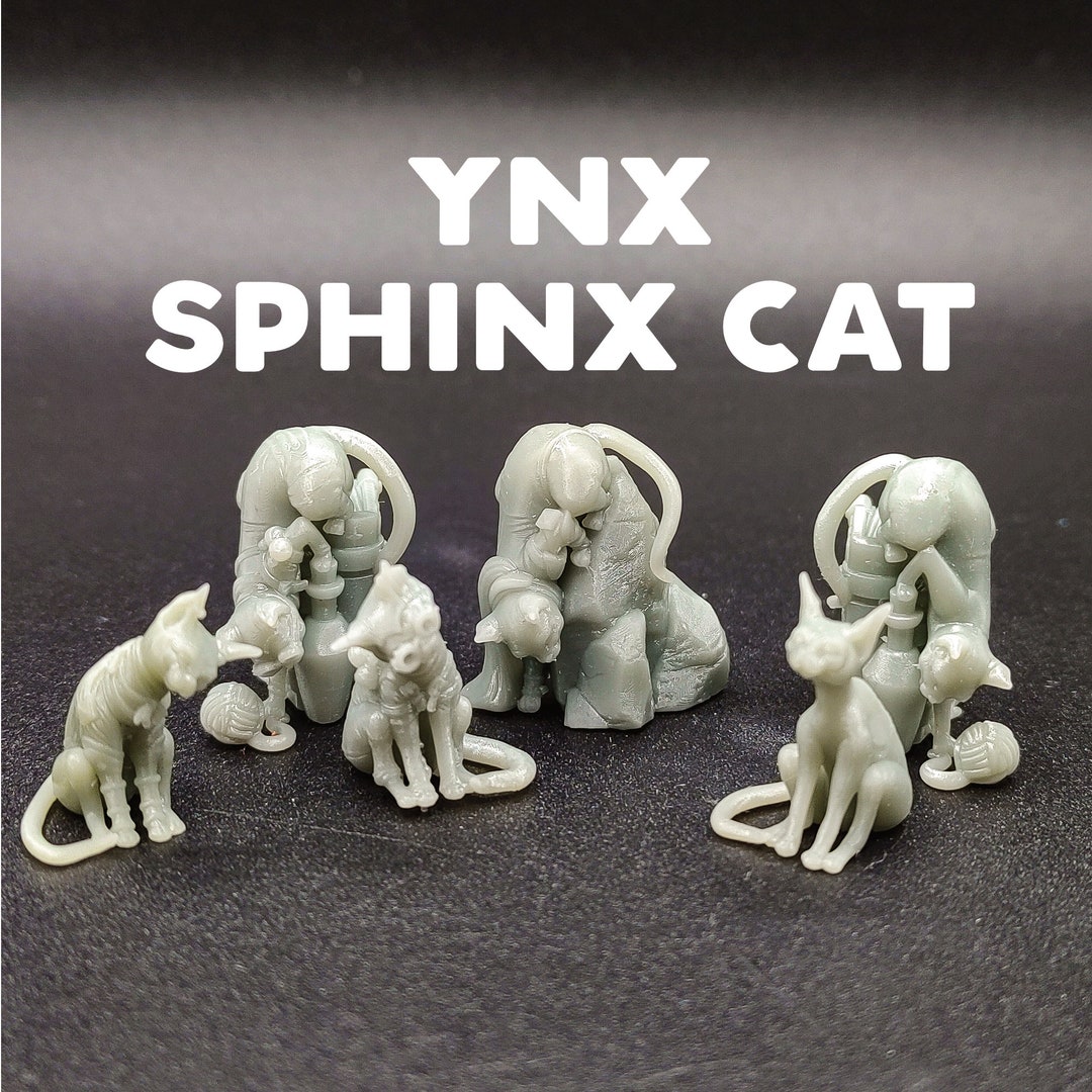 Ynx - Sphinx Cat Familiar - Hairless Cat Bingus Animal Companion ...