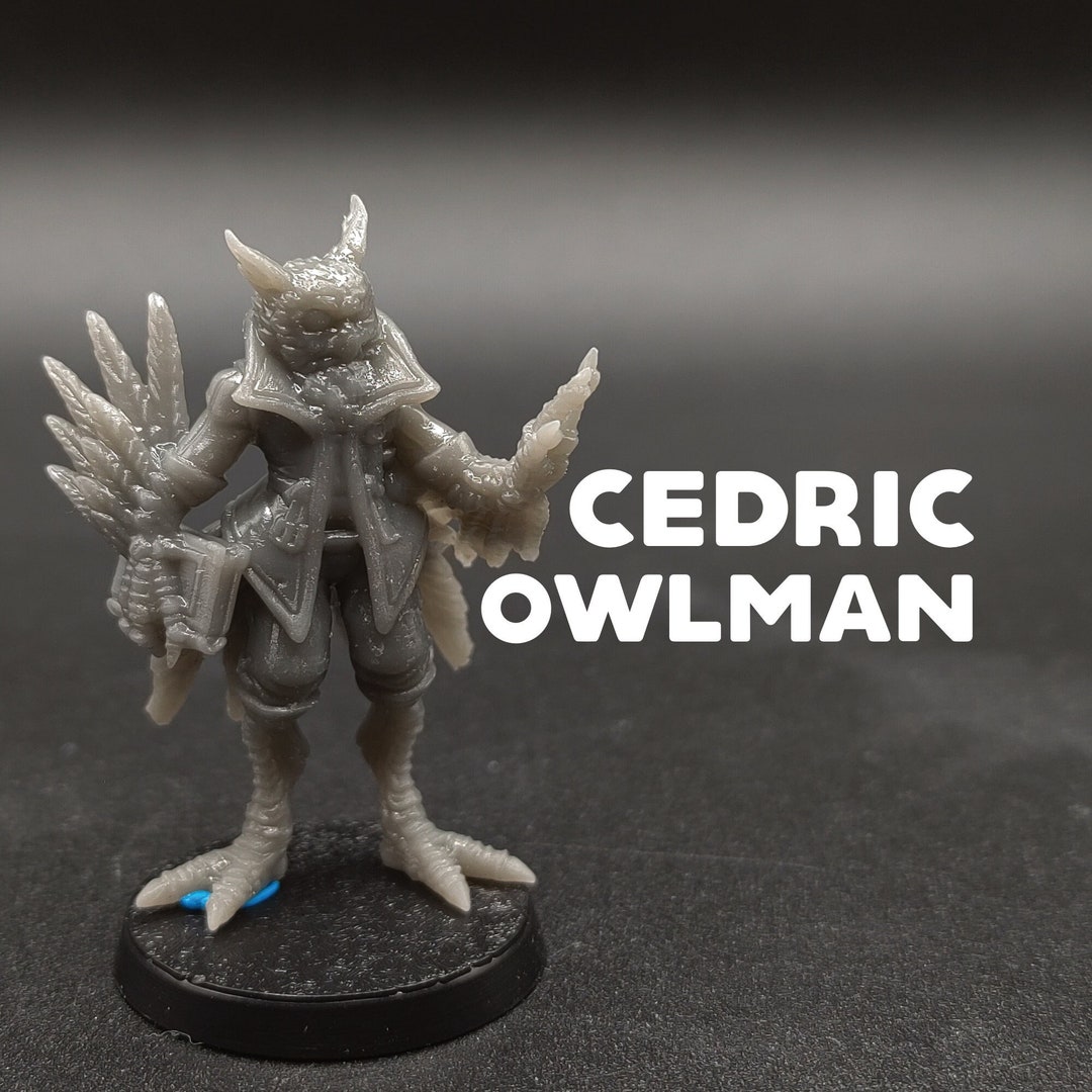 Cedric Owlman - Aarakocra Tengu Kenku Bird Person Scholar - Printed ...