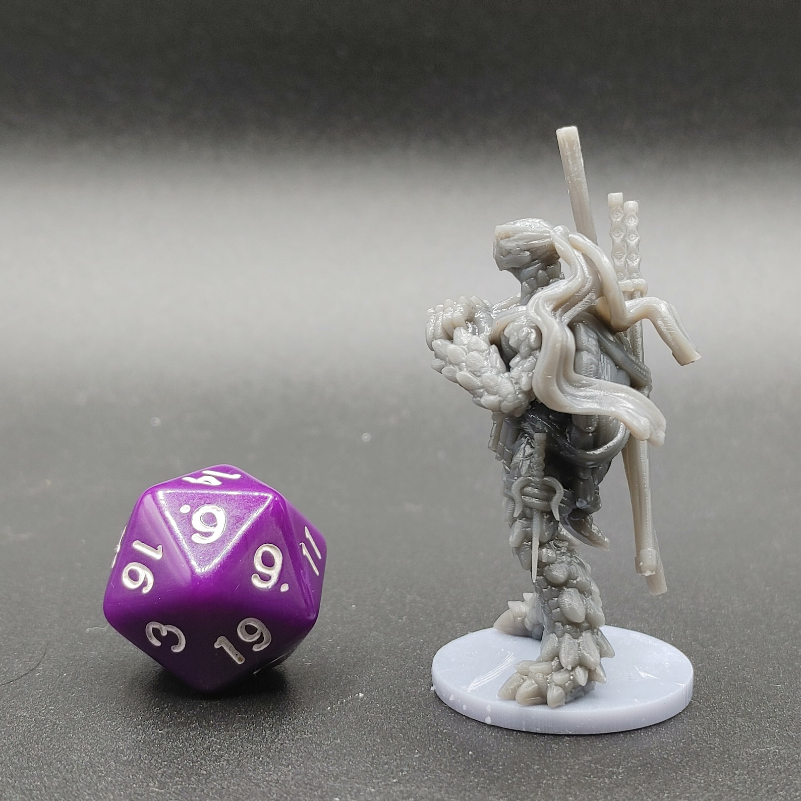 Tortle Ninja - Tortle Rogue - Printed Obsession - D&D Dungeons and ...