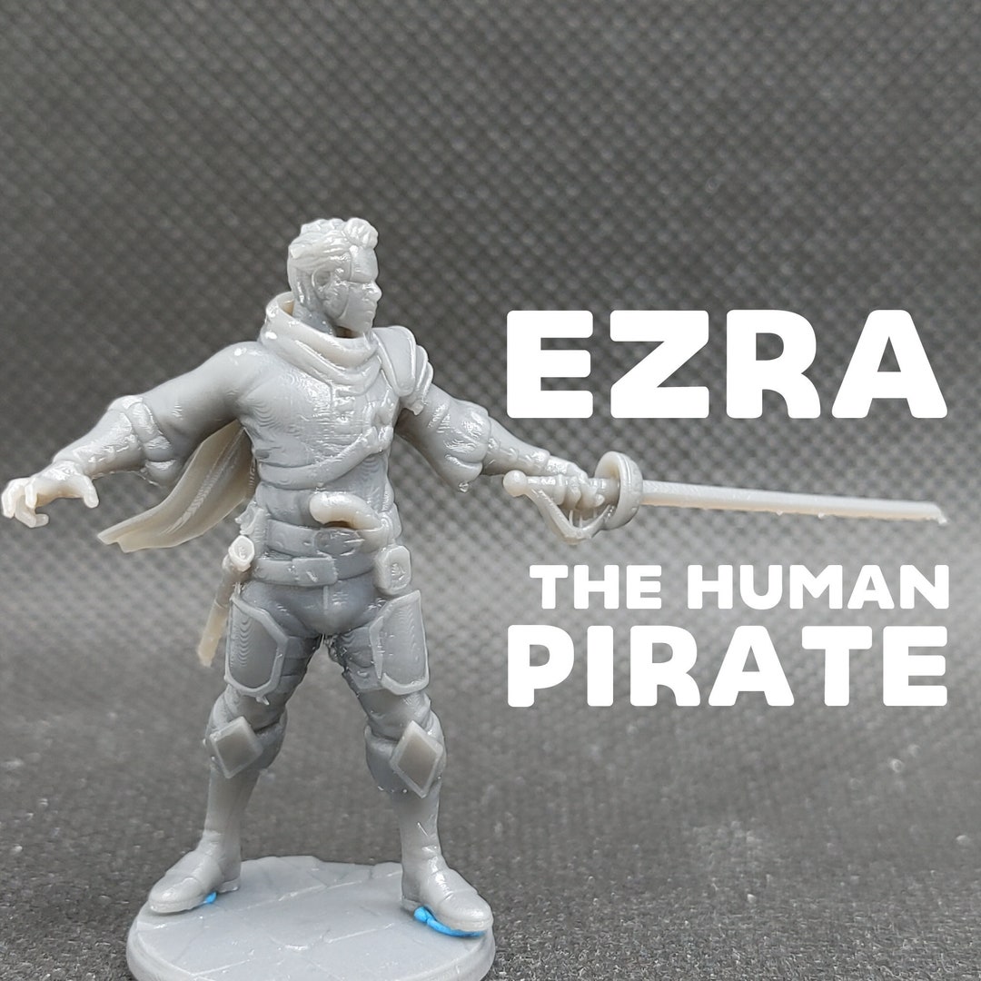 Ezra Pirate / Fencer Dragon Trapper's Lodge D&D Dungeons and Dragons ...
