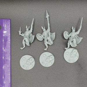 Rabbitfolk Heroes / Bunny Troop - Dragon Trapper's Lodge - D&D Dungeons ...