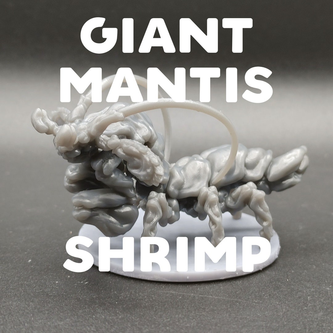 Giant Mantis Shrimp - Printed Obsession - D&D Dungeons and Dragons ...