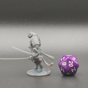 Tengashi - Tabaxi / Catfolk Samurai - Dragon Trapper's Lodge - D&D ...