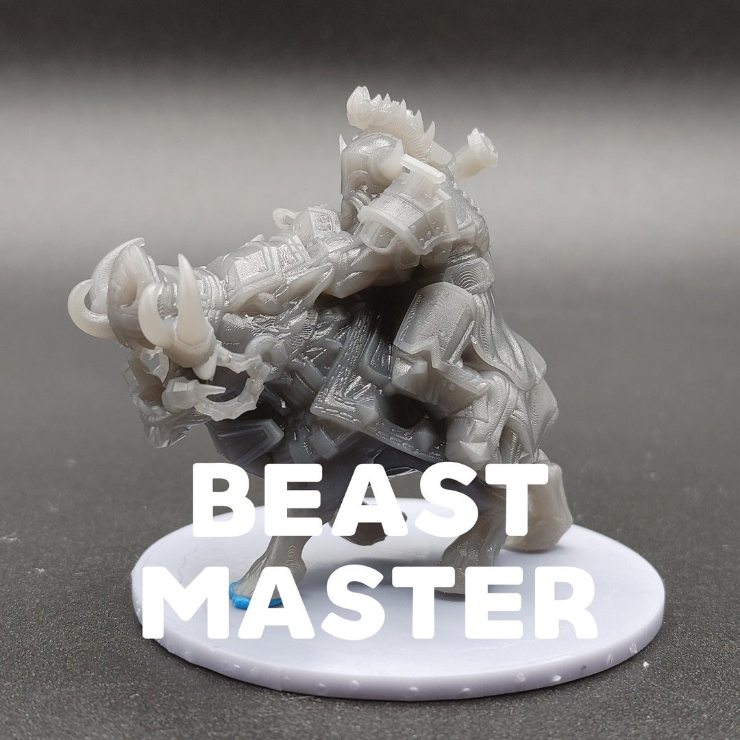 Beast Master - Dwarf Rider - Castnplay - D&D Dungeons and Dragons ...