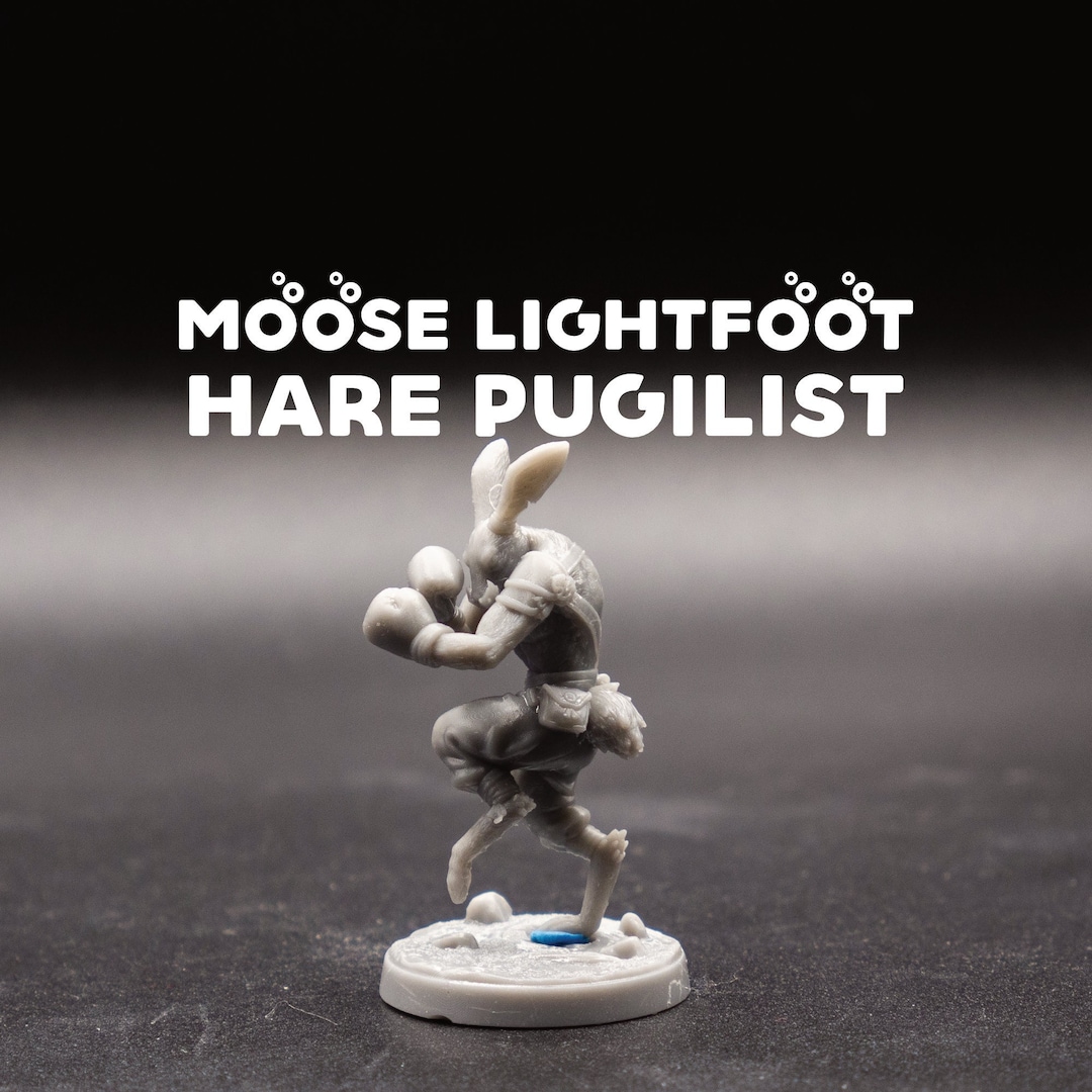 Moose Lightfoot - Rabbitfolk Monk Boxer - Champions of the Critterfolk ...