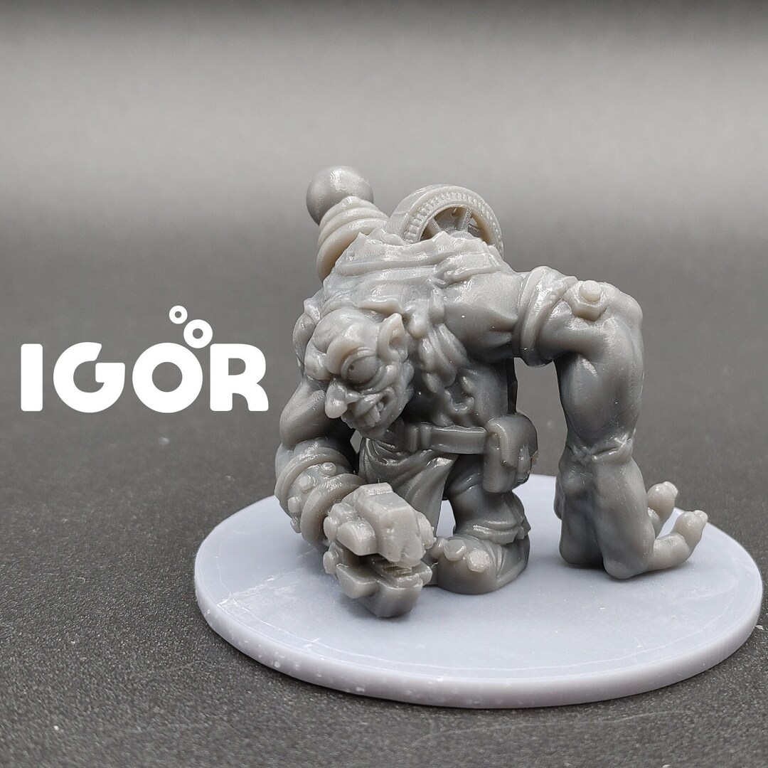 Igor Frankenstein's Lab Assistant Printed Obsession D&D Dungeons and ...