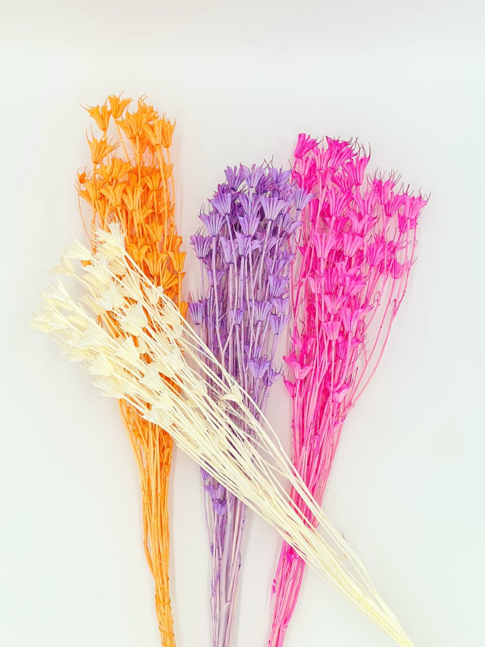 Preserved Octagon Flower | Etsy