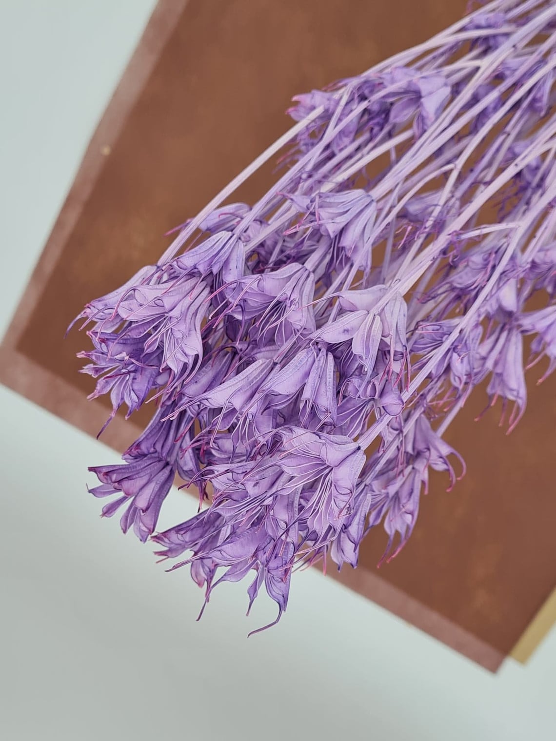 Preserved Octagon Flower | Etsy