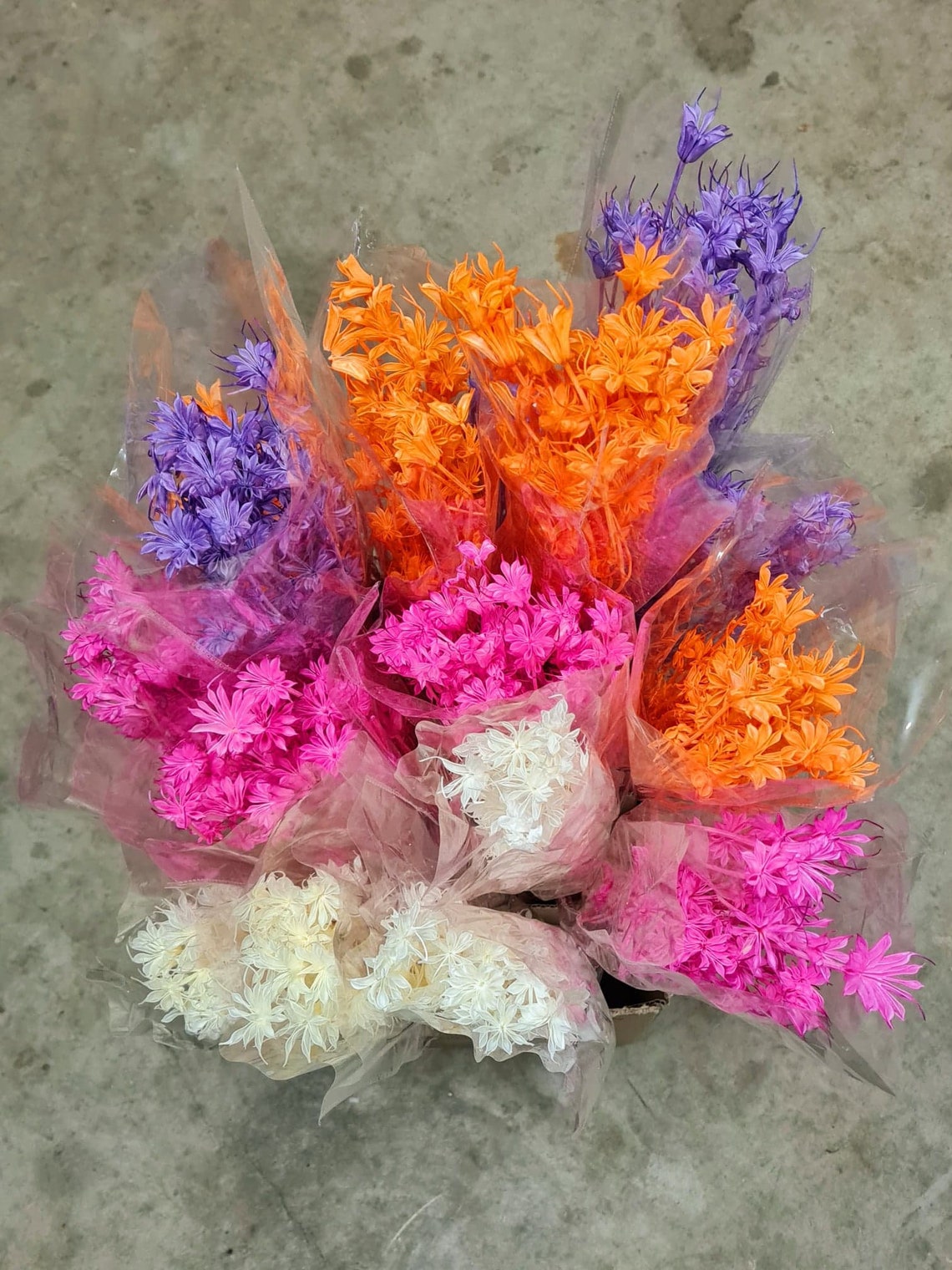 Preserved Octagon Flower | Etsy