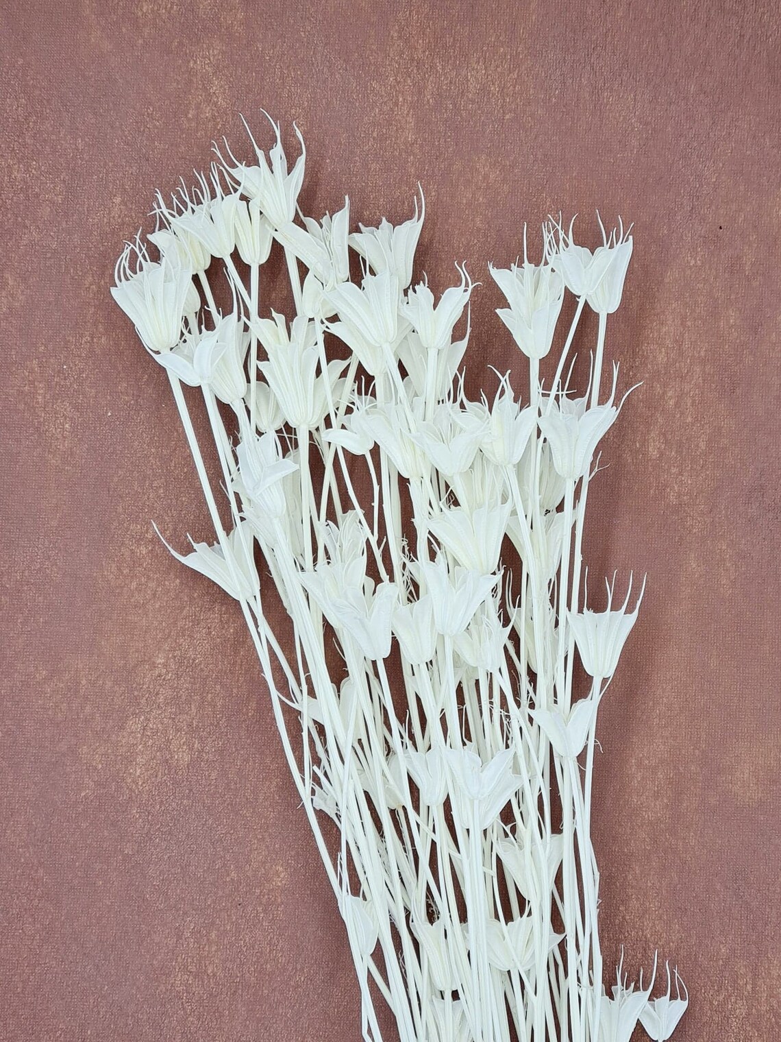 Preserved Octagon Flower | Etsy