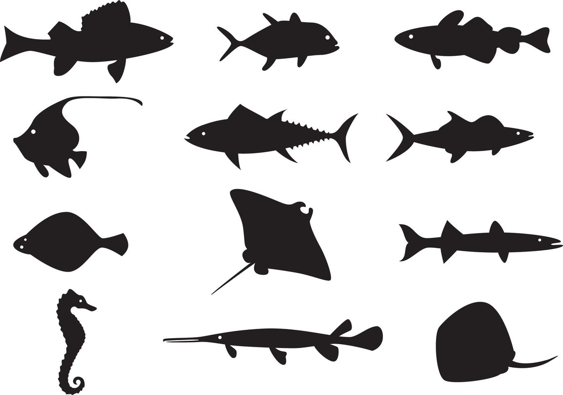 Zeedier silhouet vis svg zee clipart vissen clipart oceaan - Etsy Nederland