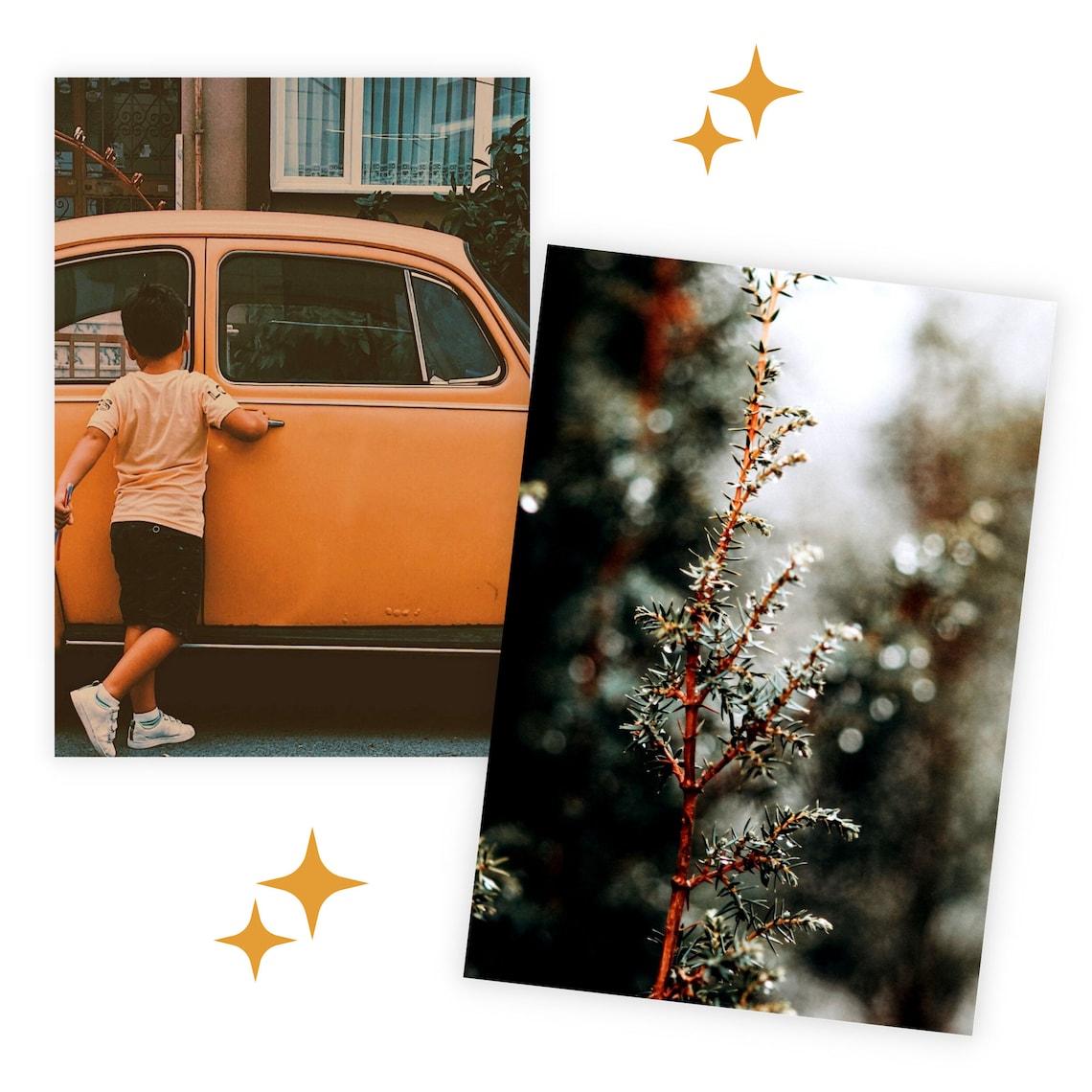 VSCO Wall Collage VSCO Wall Art - Etsy