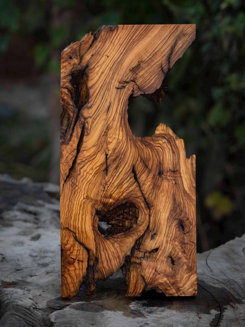 Turkish Olive Root Burl Wood Slab: Exotic Epoxy Art Board - Etsy