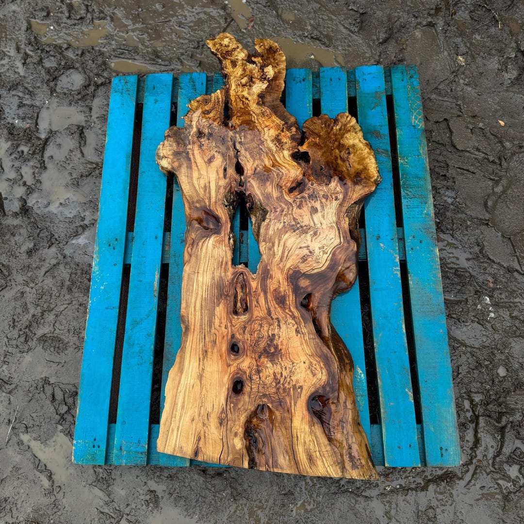 48x24 120x60cm Turkish Olive Root Slab, Epoxy Table, Clock, Wall ...