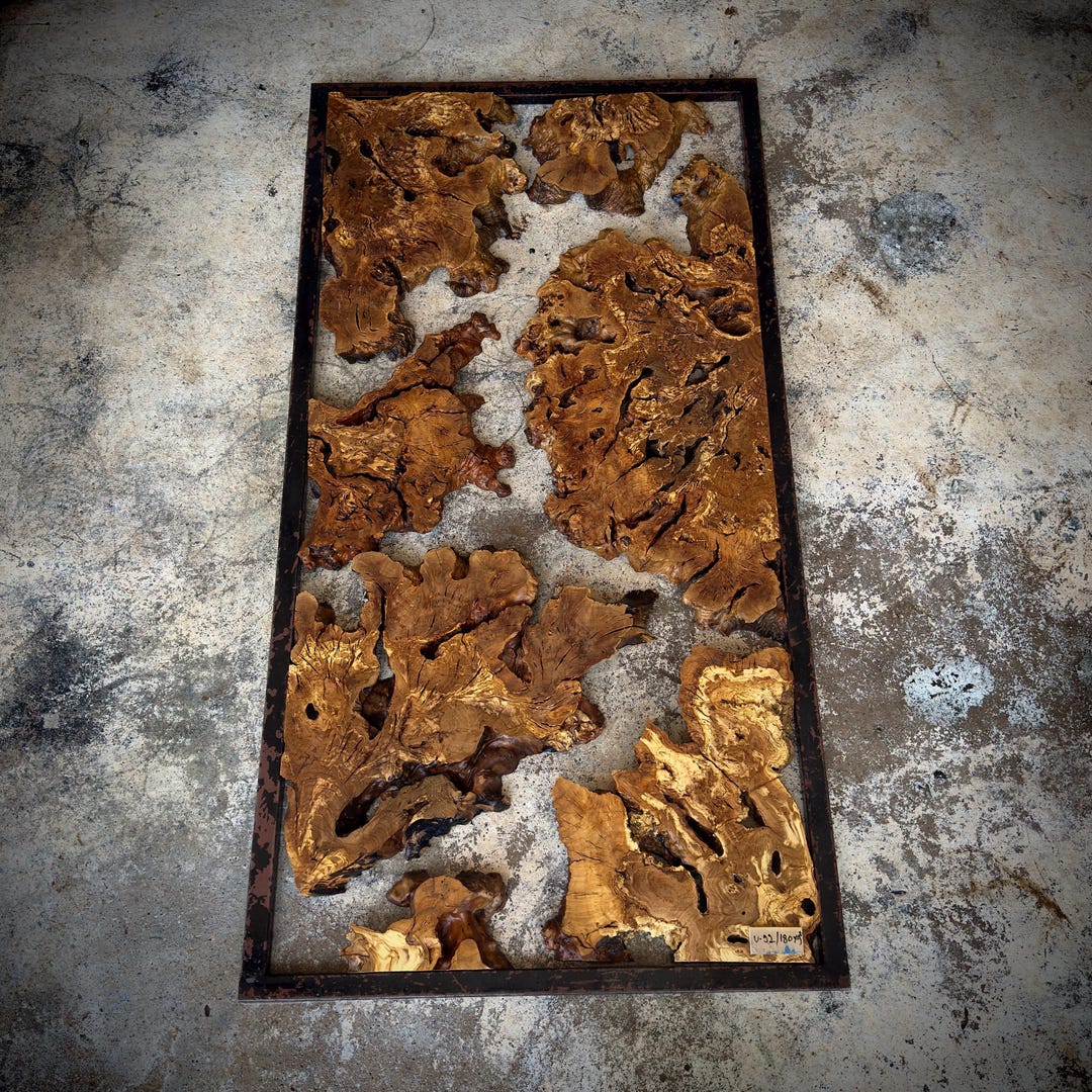 Unique Large Olive Root Live Edge Slab 72"x36" // 180 X 90 Cm Tree ...