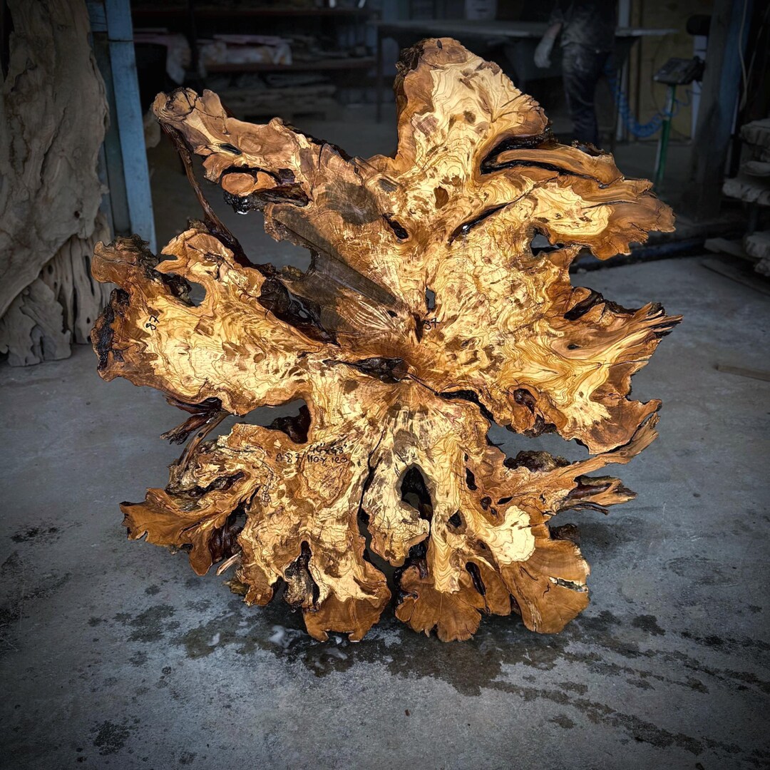 Olive Root Wood Slab: Live Edge Cross-cut for Resin Art (48"x44 ...