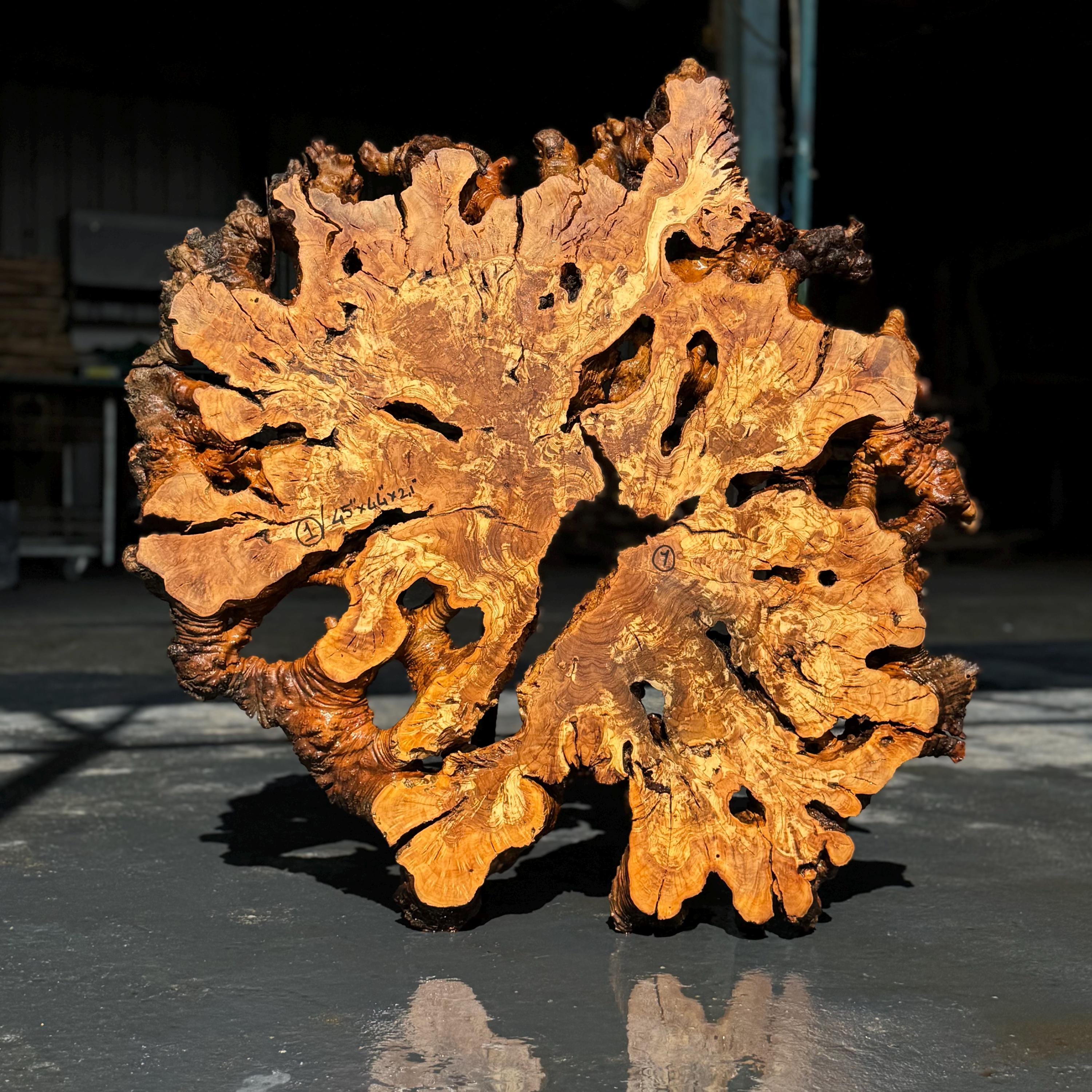300 Year Old Olive Root Burl Slab - Ancient Iznik Olive Wood for Epoxy ...