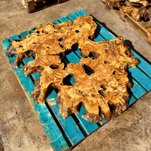 48x40 120x100cm Ancient Olive Root Slice Live Edge code: A-48PART2 - Etsy