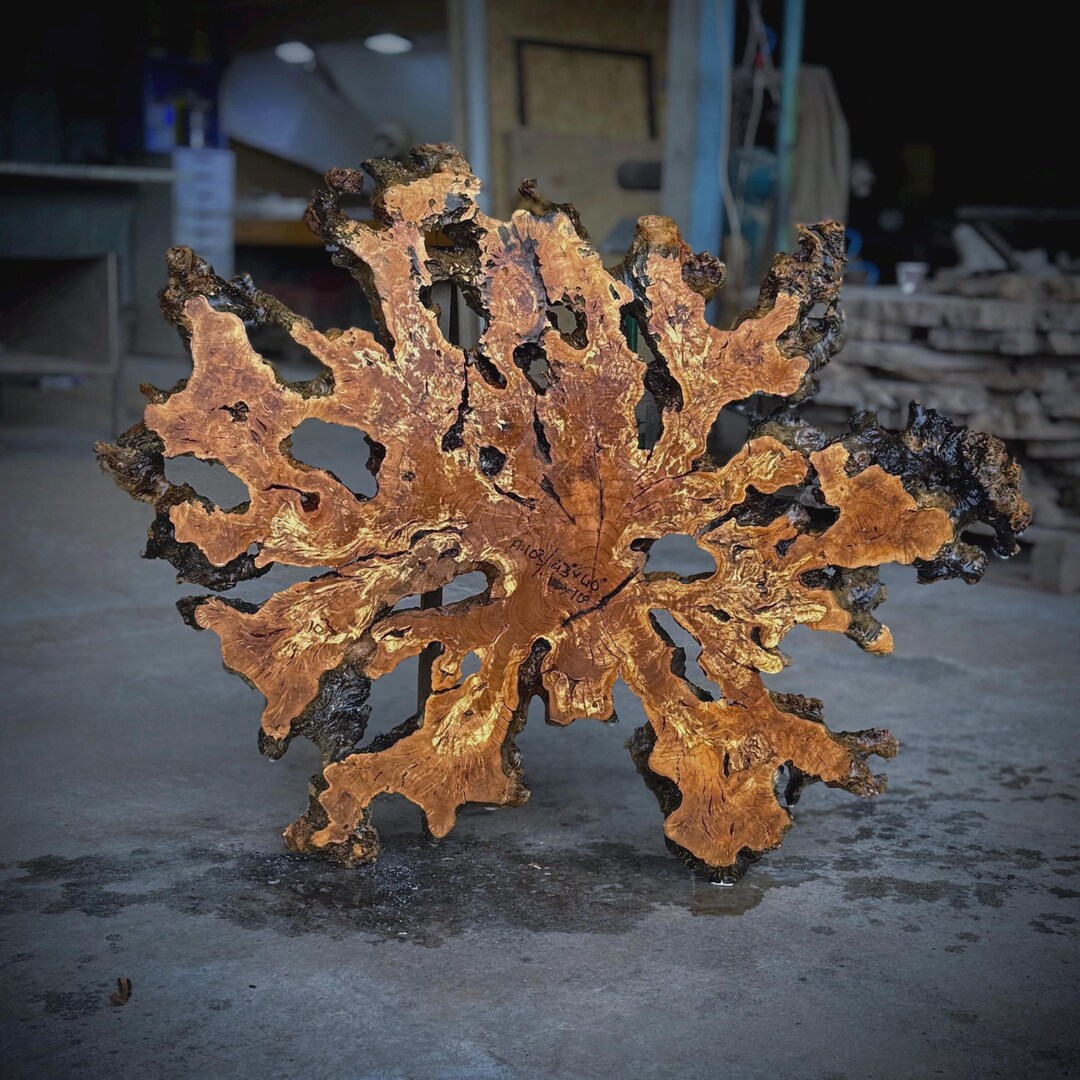 43"x40" // 110 X 100 Cm Olive Root Slice Live Edge (code 103) - Etsy