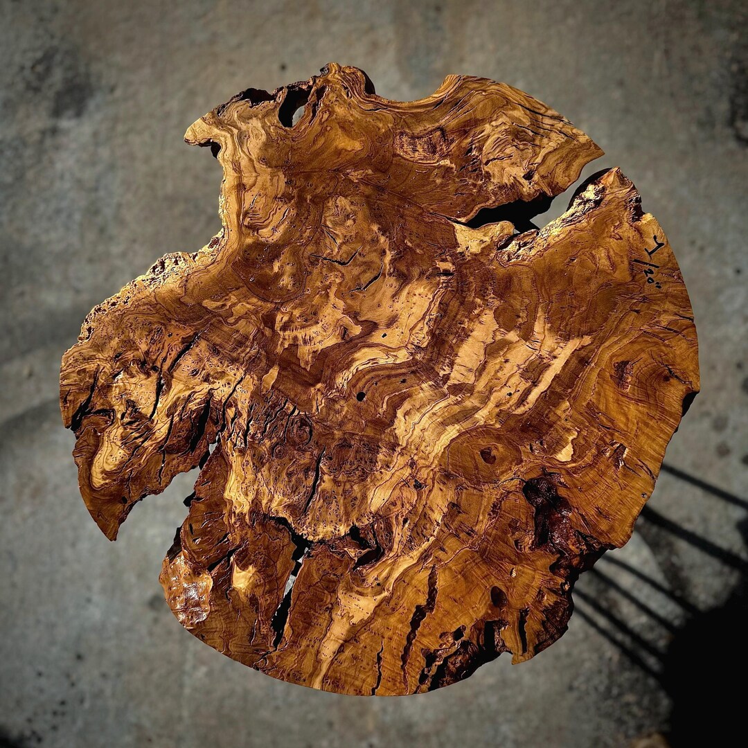 Round Turkish Olive Root Slice: Kiln-dried Wood Slab - Etsy