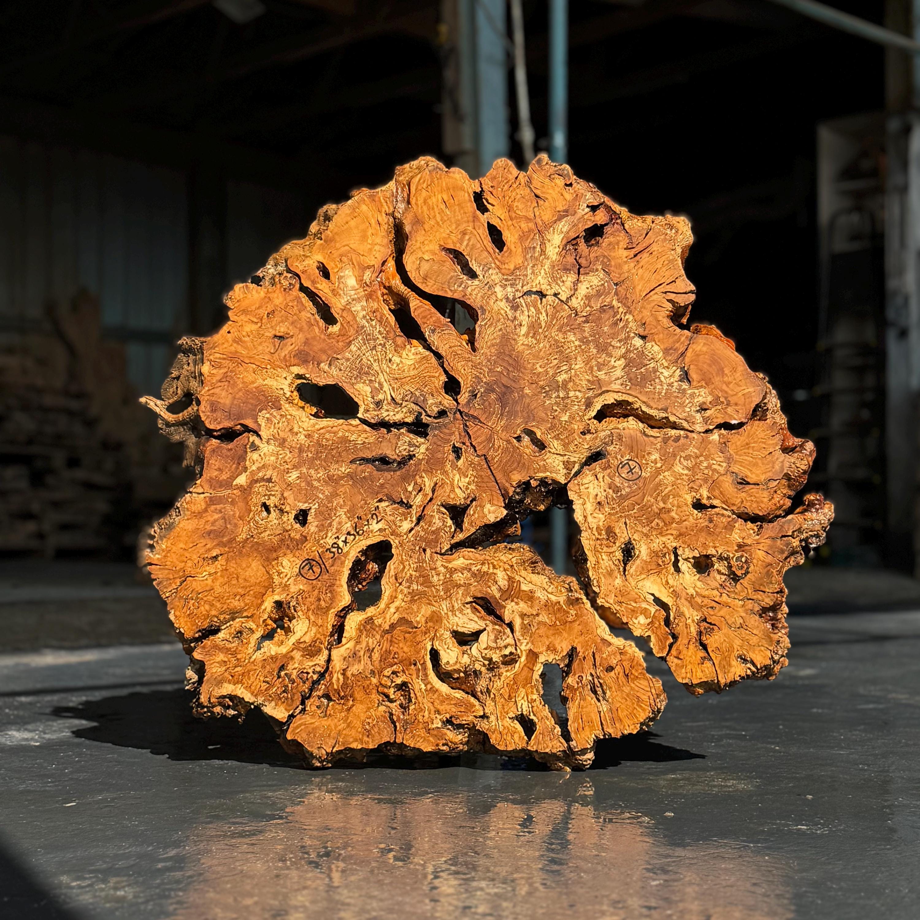 300 Year Old Olive Root Burl Slab - Ancient Iznik Olive Wood for Epoxy ...