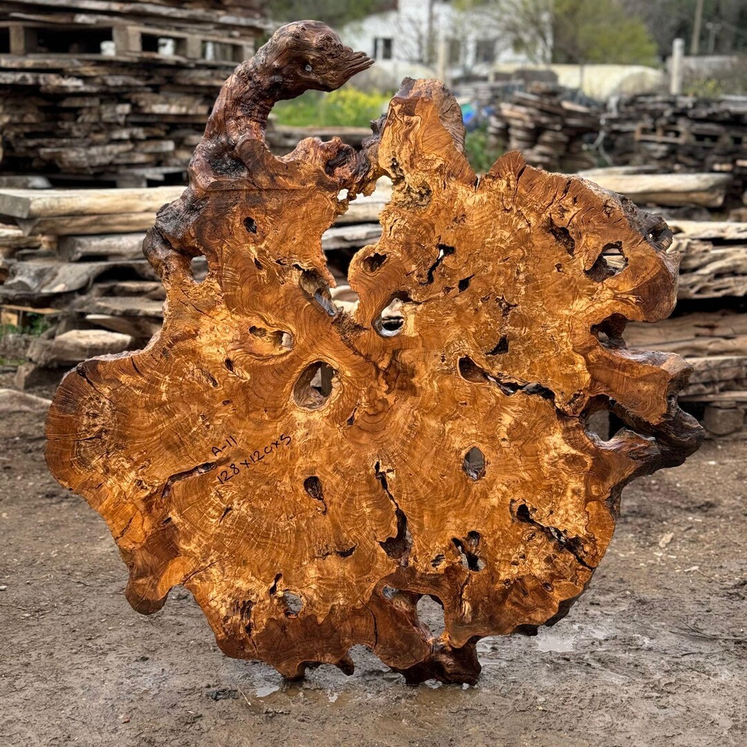 48 X 50 Olive Root Slice Live Edge Code A-11 - Etsy