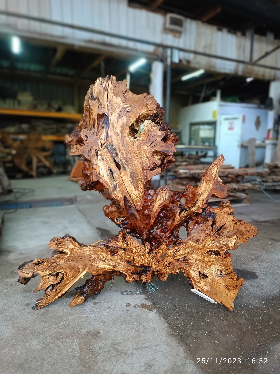 Sold Unique Olive Root Wood Slice - Etsy