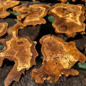 Olive Wood Root Slice, Live Edge Burl (12-24 Inch, Sanded Surface) - Etsy