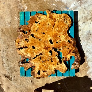 48" X 50" Olive Root Slice Live Edge Code (A-11) - Etsy