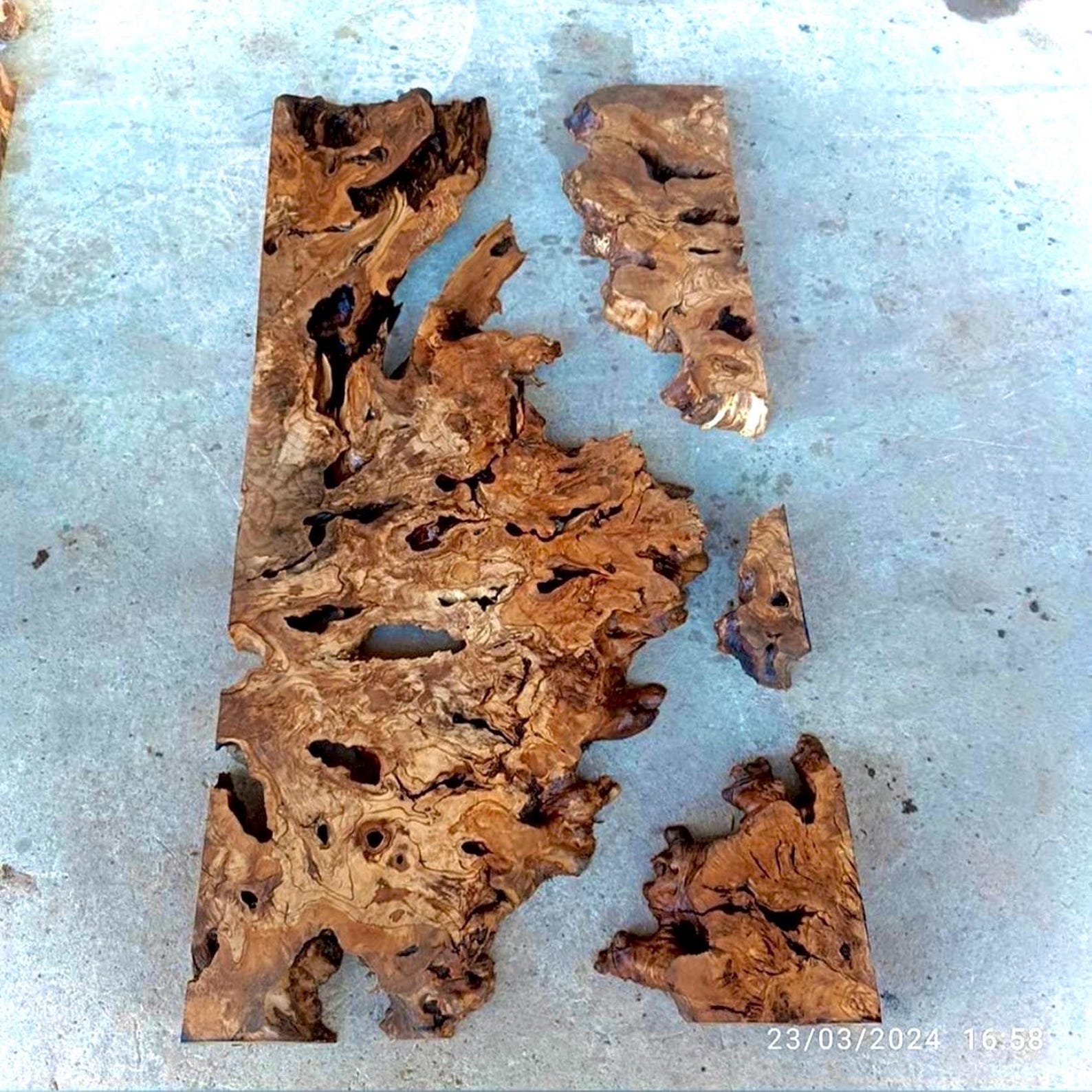 Kiln Dried Olive Root Burl Wood Slab: Epoxy Resin Table Project - Etsy