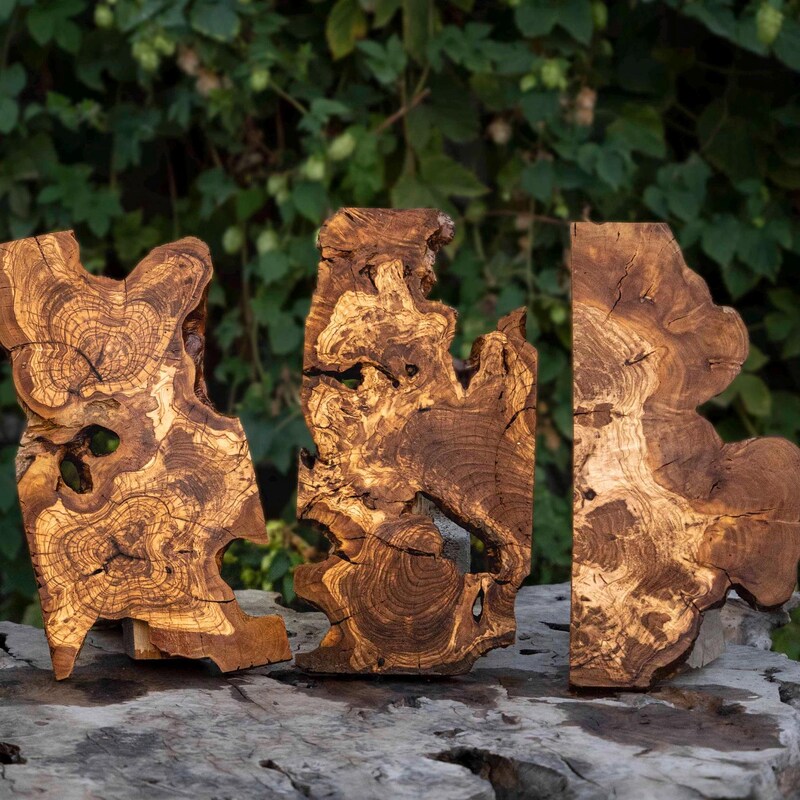 Exotic Wood Art - Etsy