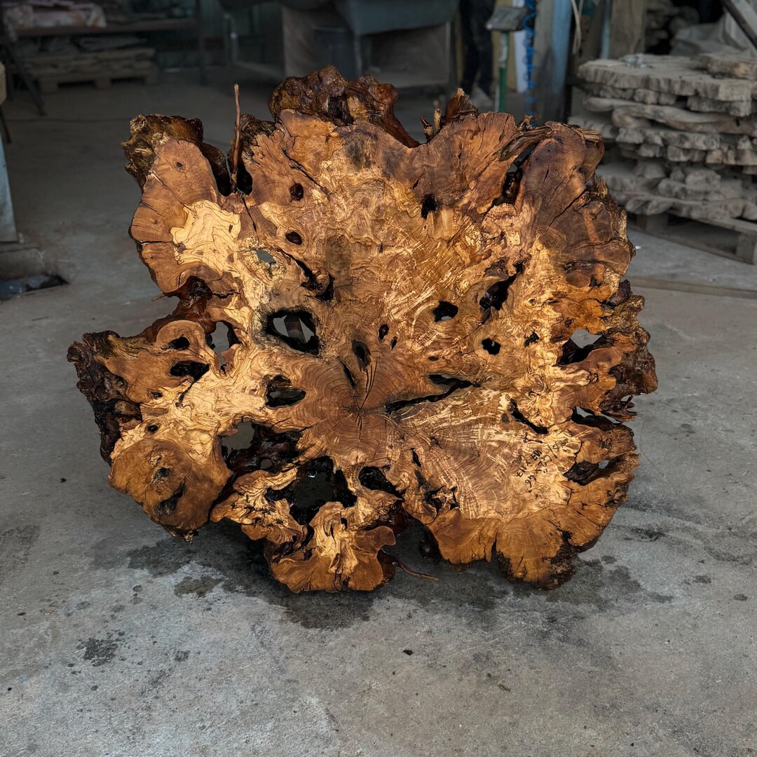 46"x47" // 117 X 107 Cm Olive Root Slice Live Edge (code 86) - Etsy