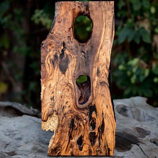 Russian Olive Plank - Etsy