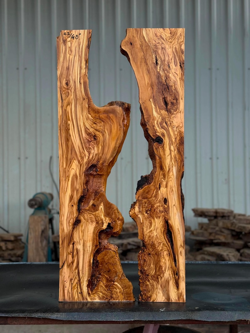 Turkish Olive Wood Burl Slabs, Live Edge Olive Wood for Epoxy River ...