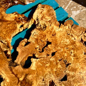 48" X 50" Olive Root Slice Live Edge Code (A-11) - Etsy
