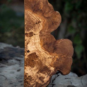 Turkish Olive Root Burl Wood Slab: Exotic Epoxy Art Board - Etsy