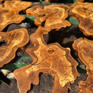 Olive Wood Root Slice, Live Edge Burl (12-24 Inch, Sanded Surface) - Etsy